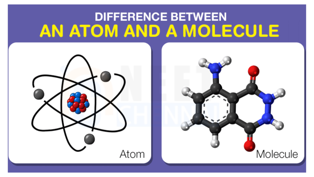 Difference Between Atoms and Molecules - Neet Chennai