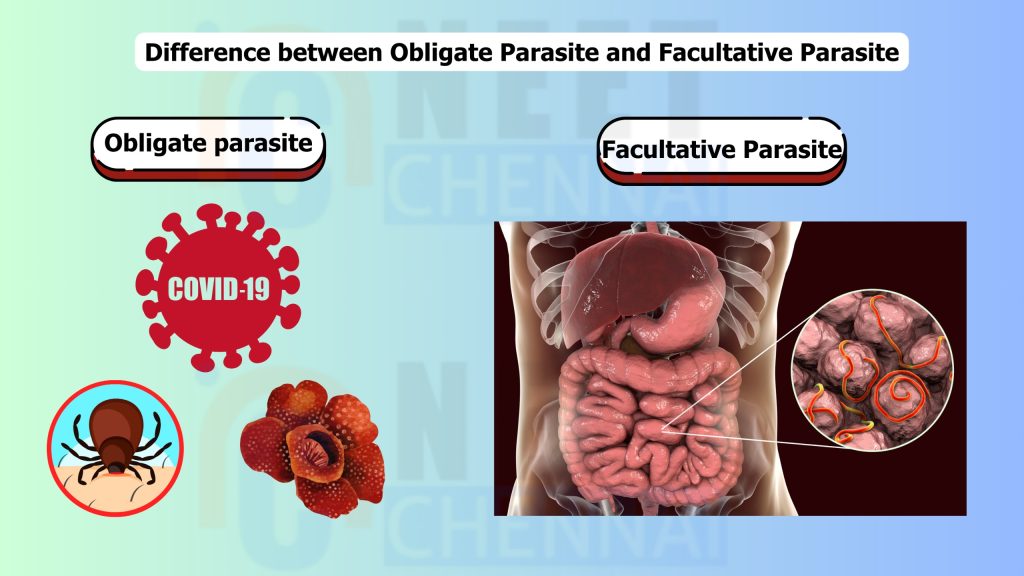 Difference between Obligate Parasite and Facultative Parasite - Neet ...