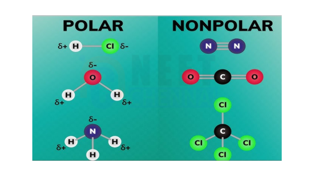 Difference Between Polar and Nonpolar Molecules (NEET Physics) - Neet ...
